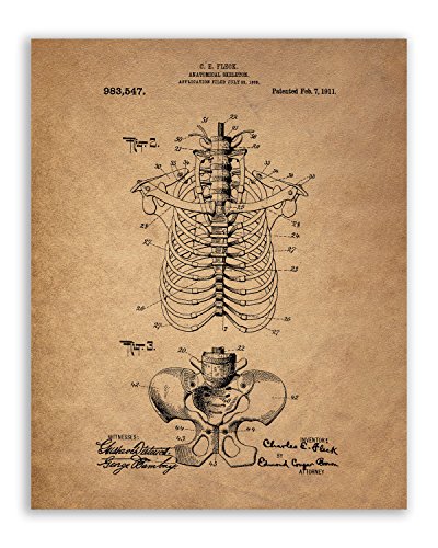 Vintage Human Skeleton Patent Print - Set of 4 (8 inches x 10 - Want It All