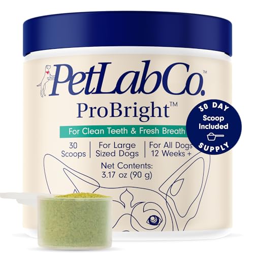 Pamper Your Pooch with Top 10 Petco Lab Products: A Comprehensive Guide ...