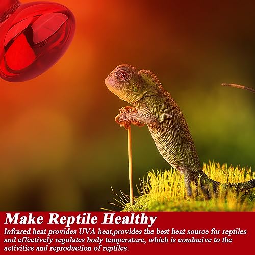 Lotvic 2 Pack 100W Infrared Reptile Heat Lamp Bulb, E27 Basking Spot ...