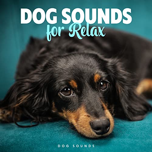 Amazon Music - Dog SoundsのDog Sounds for Relax - Amazon.co.jp