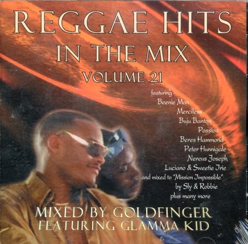 Reggae Hits in the Mix, Vol. 21 - Goldfinger, Glamma Kid, Various ...