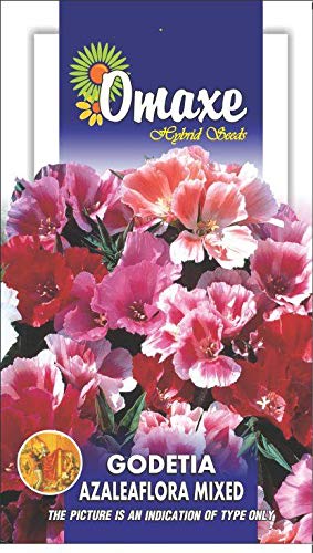 Godetia Azaleaflora Mixed Flower Seeds Kitchen Garden Packet by Garden ...