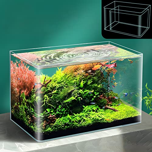 10 Must-Have Paludarium Fish Tanks for Aquatic Enthusiasts: A ...
