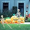 Amazon.com : 36" Skeleton Halloween Decorations, 3FT Realistic Full ...