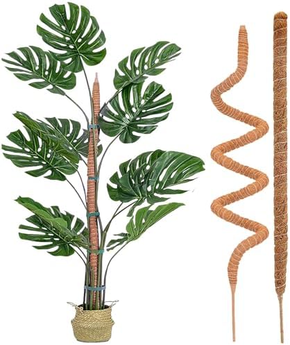 2 Pack 70cm Pflanzstab Kokos, Monstera Rankhilfe, Biegsame Moosstab für ...