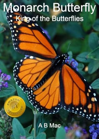 Amazon.com: Monarch Butterfly King of the Butterflies (Amazing Facts ...