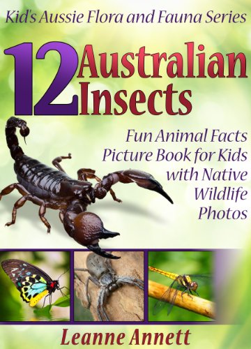 12 Australian Insects! Kids Book About Insects: Fun Animal Facts ...