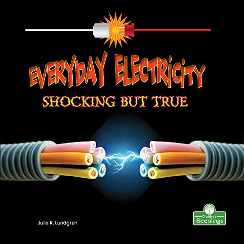 Everyday Electricity, Shocking But True (Science in My World: Level 2 ...