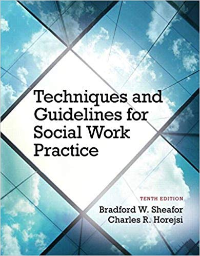 Techniques and Guidelines for Social Work Practice: Bradford W. Sheafor ...