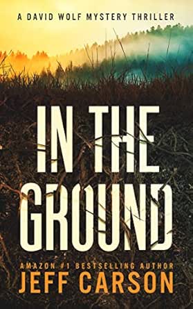 Amazon.com: In the Ground (David Wolf Mystery Thriller Series Book 14 ...