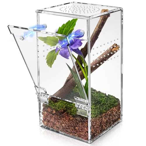 Amazon.com: Jumping Spider Enclosure - 3x3x6 Inch Mini Tarantula ...