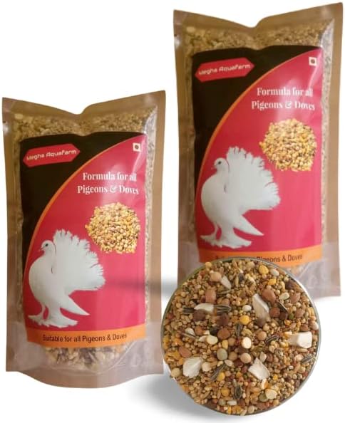 Buy The Birds Company Premium Seed Blend of 8 Grains & Nuts, Fortified ...