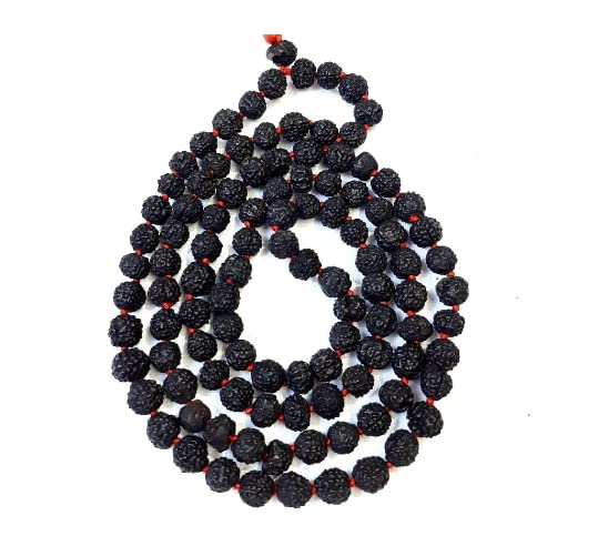 OPTIMUS RUDRAKSHA Original Nepali Black Rudraksha Panchmukhi Rudraksh ...