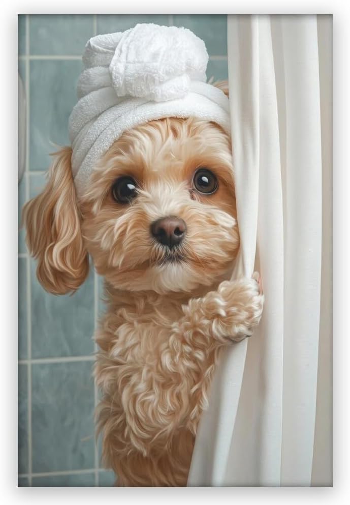 Amazon.com: Funny bathroom wall art Cavapoo in Shower Animal Poster ...