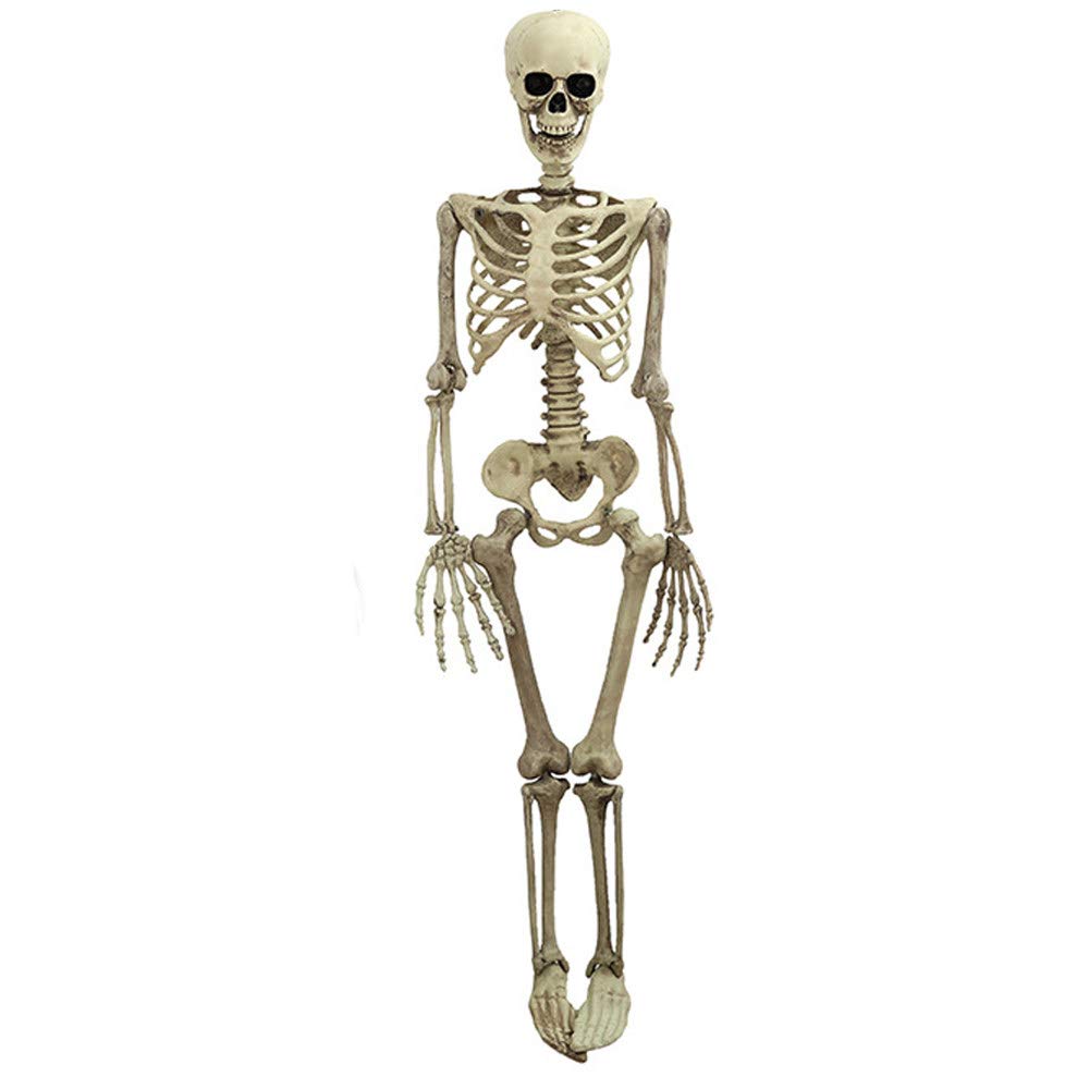 Buy 165cm/65” Posable Life Size Halloween Skeleton, Full Body Human ...