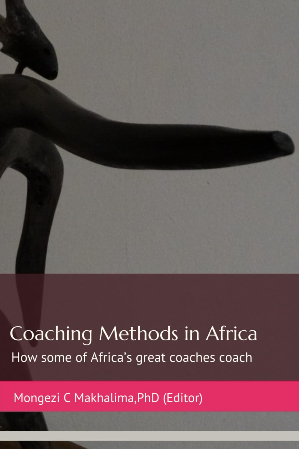 Amazon.com: Coaching Methods in Africa: How some of Africa’s great ...
