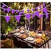 Amazon.com: LUSEAN 100 Ft Solid Purple Pennant Banners Flags String ...