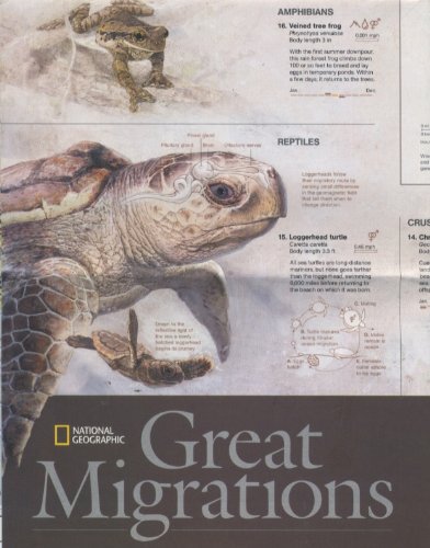 Amazon.com : National Geographic Map - Great Migrations / The World ...