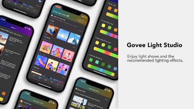 Watch What can you do with Govee Home APP? on Amazon Live