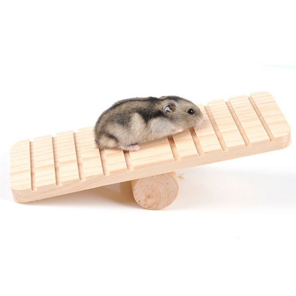 Dwarf Hamster Toys