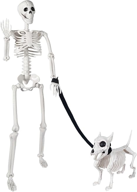 Amazon.com : JETEHO 3 FT Human Skeleton Halloween Decor with Dog ...