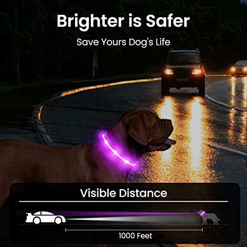 Snapklik.com : Light Up Dog Collars-RGB Led Dog Collar Rechargeable ...
