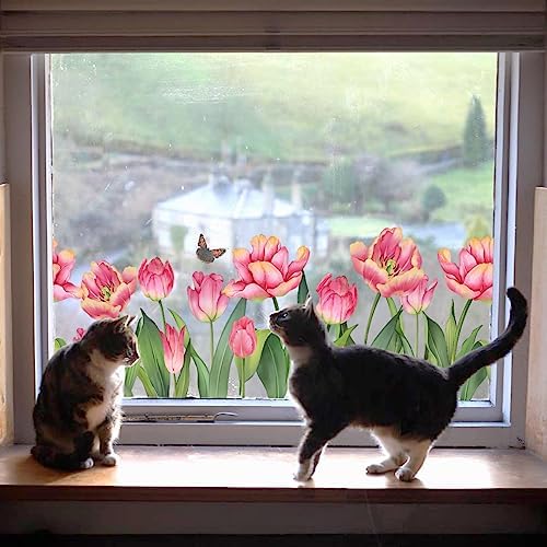 Amazon.com: Buer Homie Window Clings, Double Sided Anti-Collision ...