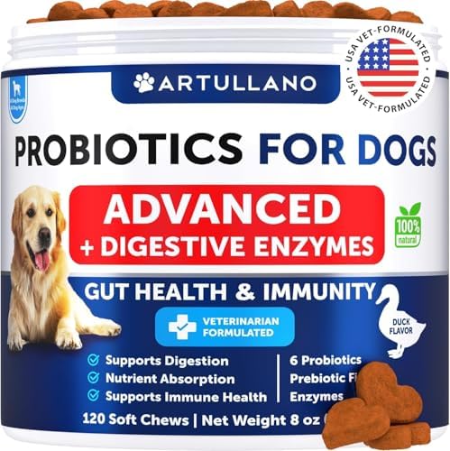 Amazon.com : PetLab Co. Allergy & Immune Probiotics for Dogs, Support ...