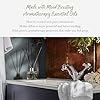 Valentte Reed Diffuser - Lemongrass & Rosemary Scent | Essential Oil ...