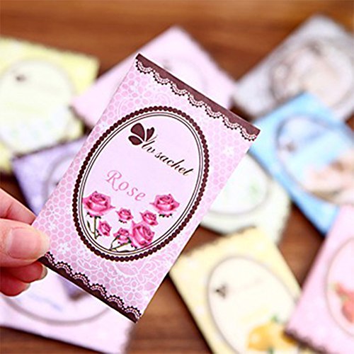 Leoie 100 Pack Natural Vermiculite Scented Sachets for Fragrance ...