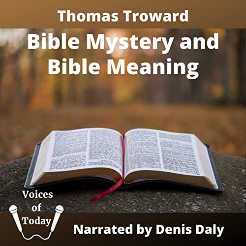 Amazon.com: Bible Mystery and Bible Meaning (Audible Audio Edition ...