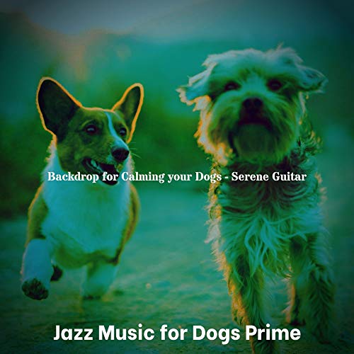 Amazon Music UnlimitedでJazz Music for Dogs PrimeのBackdrop for Calming ...