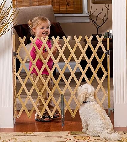 Amazon.com: GMI Keepsafe 36-Inch Expansion Gate : Baby