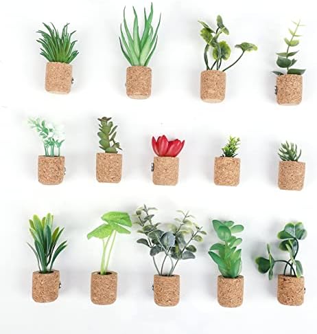 TheirNear Creative Fridge Magnets Pack of 14Pcs, Artificial Succulent ...