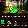 Ezee Plastic Disposable Garbage Bags, Green, Small, 30 Bags : Amazon.in ...
