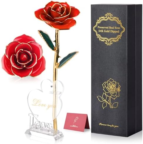 Amazon.com: Yonktoo 24K Gold Dipped Real Rose - Preserved Eternal Rose ...
