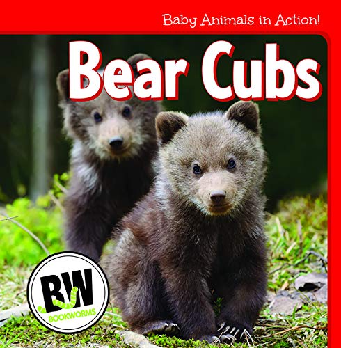 Bear Cubs (Baby Animals in Action!) : Horning, Nicole: Amazon.in: Books