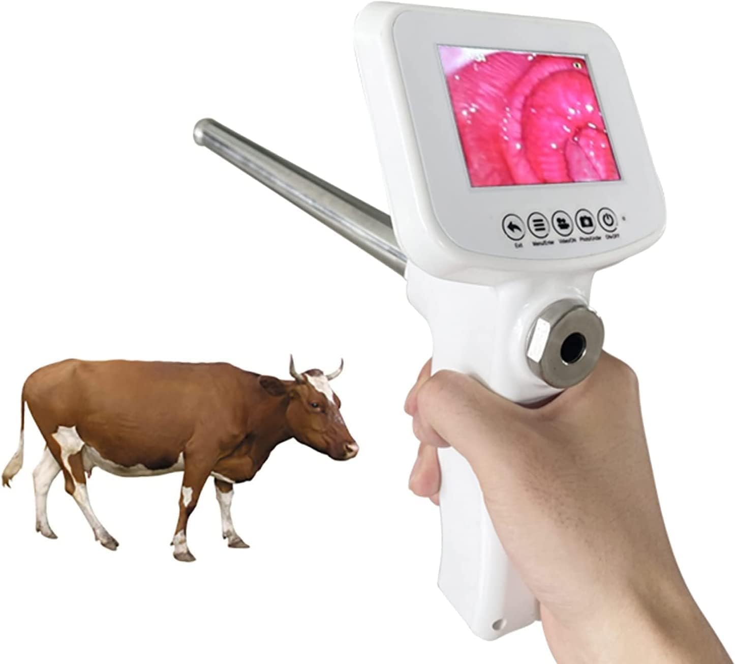Amazon.com: Gexmil Cow Artificial Insemination Device Cow Visual Endoscope Sperm AI Gun Tools ...