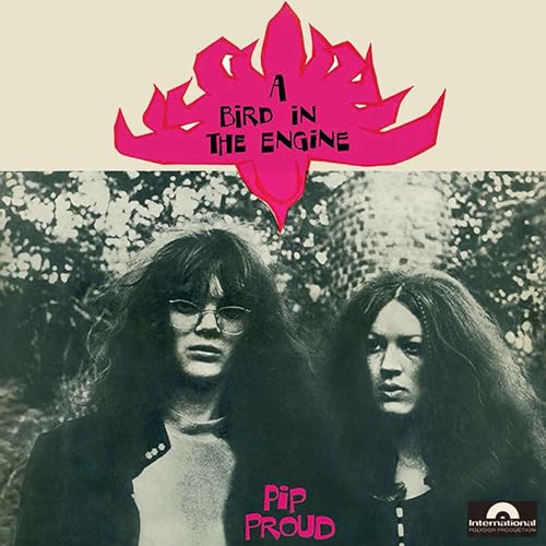Amazon.com: A Bird in the Engine : Pip Proud: Digital Music