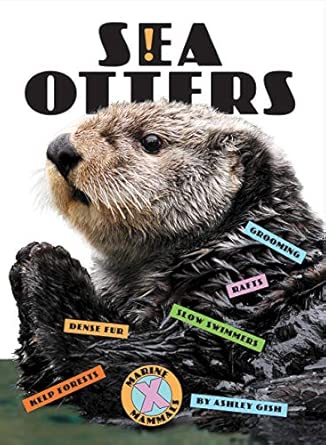 Amazon.com: Sea Otters (X-Books: Marine Mammals): 9781628327557: Gish ...