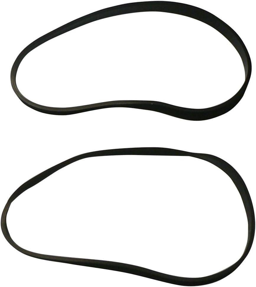 Panasonic Replacement Vacuum Belts, 2-Pack : Amazon.ca: Home