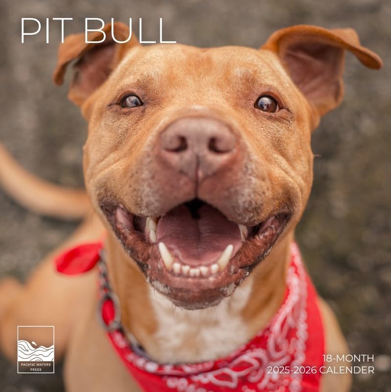 Amazon.com: Pitbull Puppy Calendar 2025 Monthly Wall Calender 12 Month ...