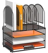Amazon.com: DALTACK 3-Tier Paper Organizer with Handle, Mesh Desk ...