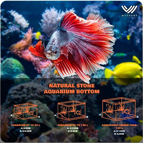 WYSKONT Aquarium Sand Gravel 1 kg – Fish Tank Natural Substrate and ...