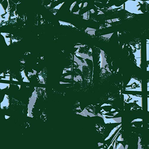 Face by Coby Sey on Amazon Music - Amazon.com