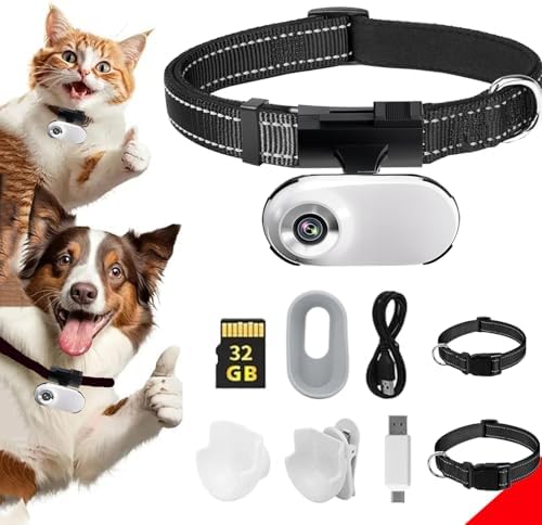 Amazon.com: 2K Pet Collar Camera with 32GB SD Card Dog Collar Camera ...