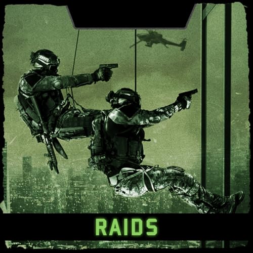 Amazon.com: Raids : VARIOUS ARTISTS: Digital Music