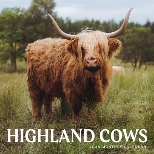 Highland Cows Calendar 2025 | 12" x 24" Animal Wall Calendar 12 Month ...