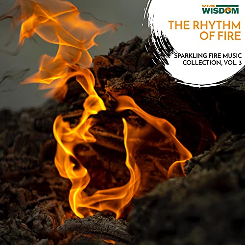 The Rhythm of Fire - Sparkling Fire Music Collection, Vol. 3 de VARIOUS ...