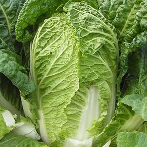 Col China Lidl | Me pica la curiosidad